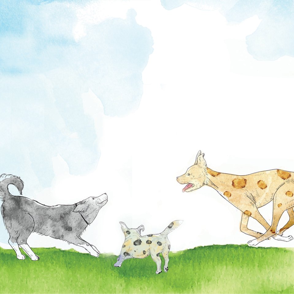 Digital Library of Stories for Kids | Stories | Storyweaver