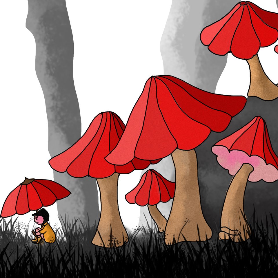 Digital Library of Stories for Kids | Stories | Storyweaver