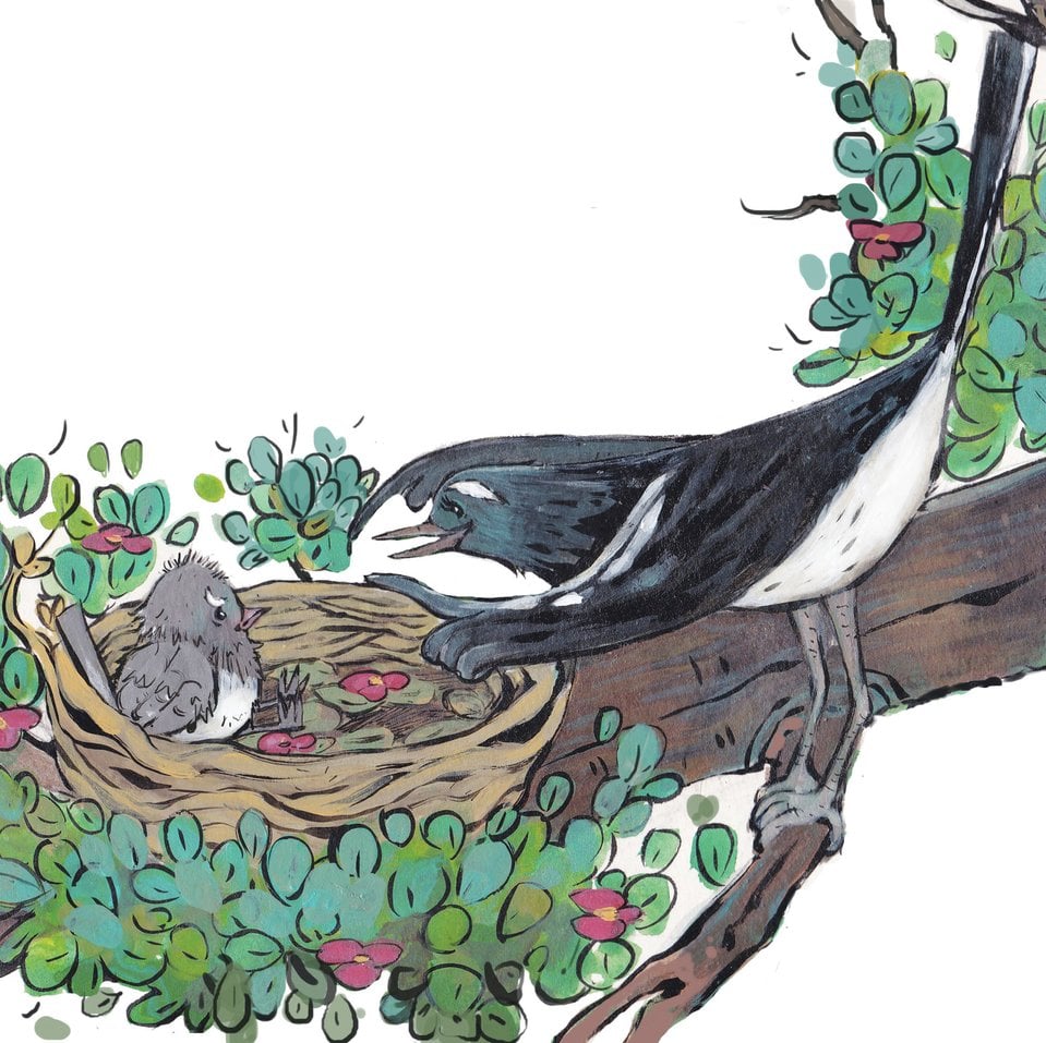 Digital Library of Stories for Kids | Stories | Storyweaver