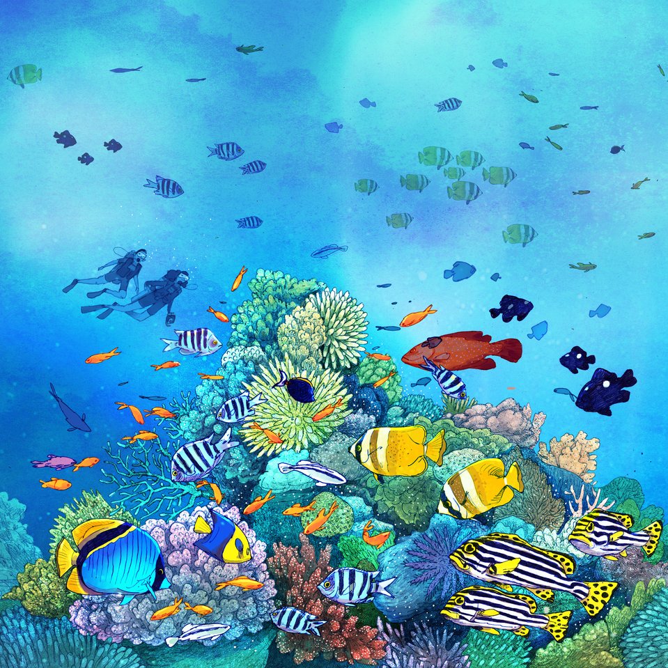Digital Library of Stories for Kids | Stories | Storyweaver