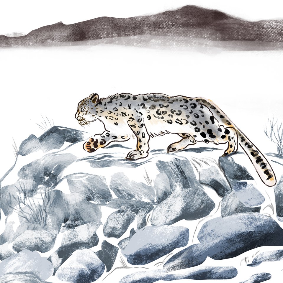 Digital Library of Stories for Kids | Stories | Storyweaver
