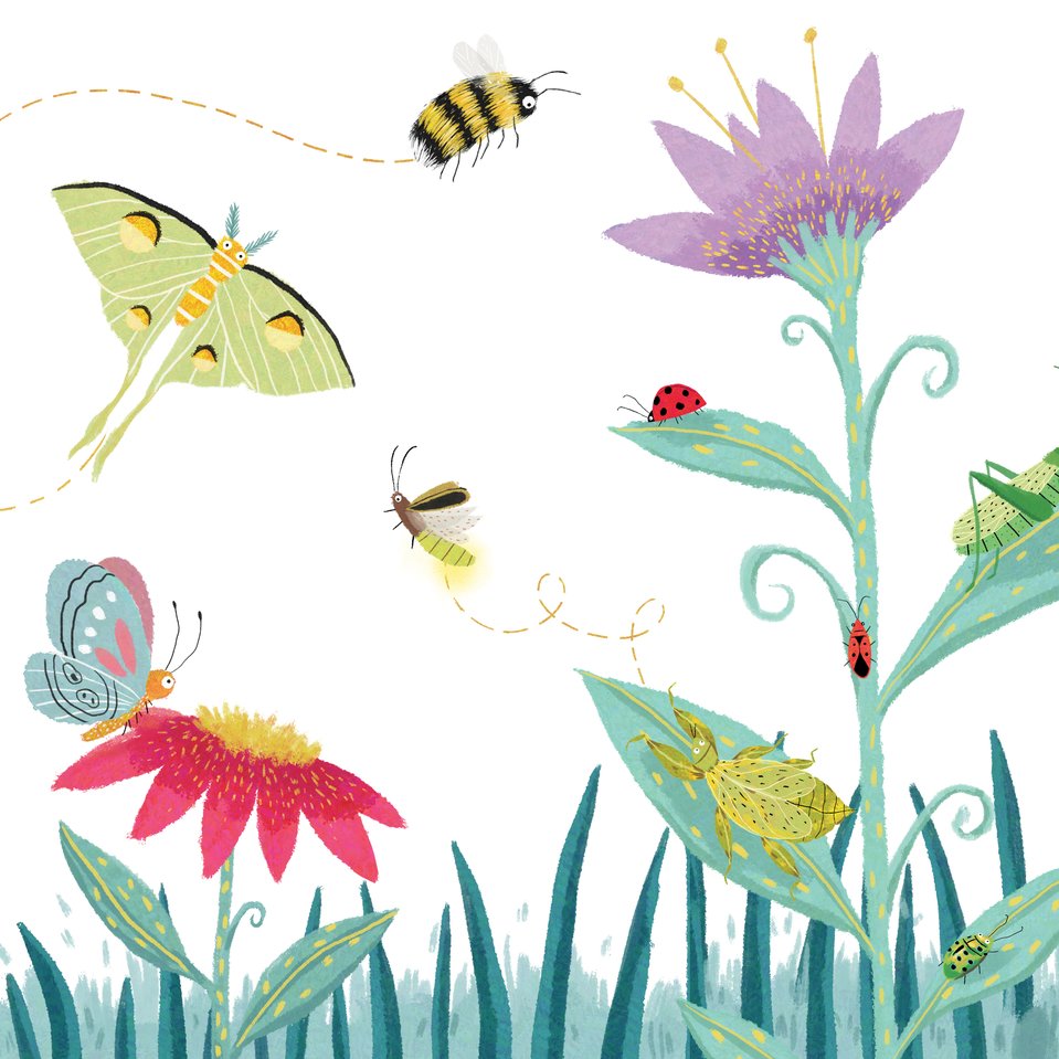 Digital Library of Stories for Kids | Stories | Storyweaver