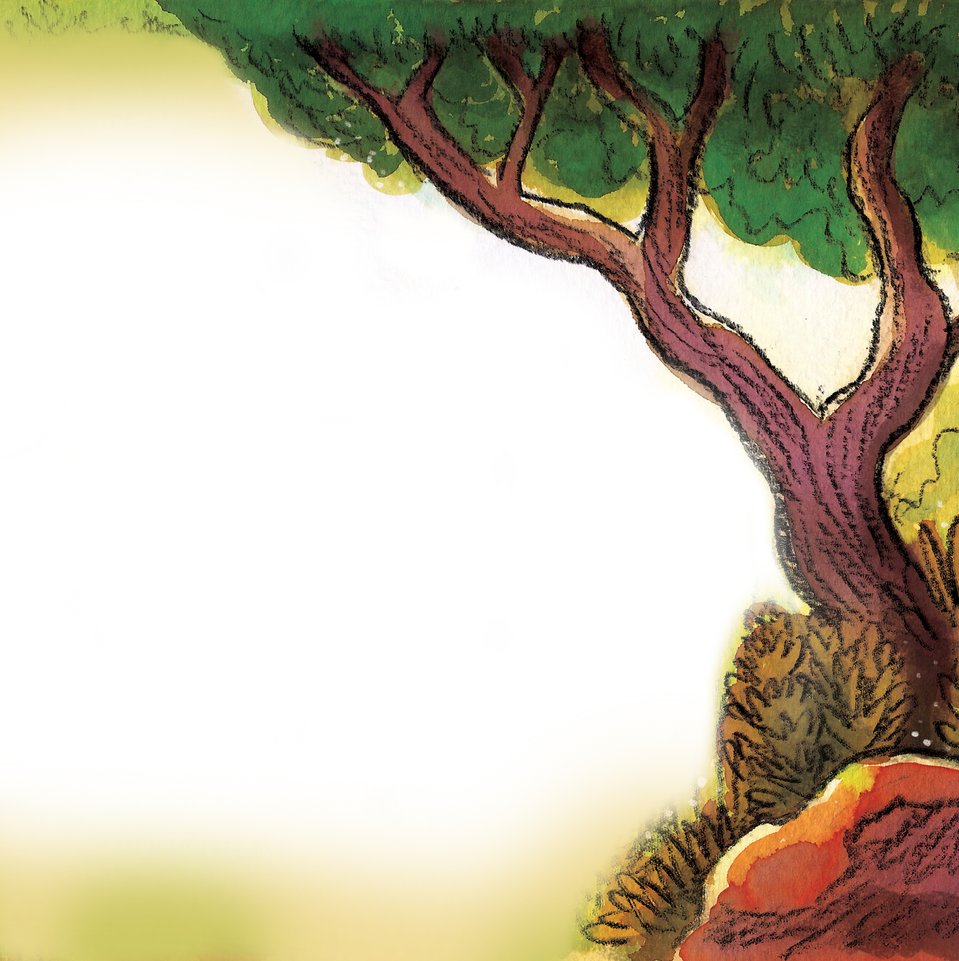 Digital Library of Stories for Kids | Stories | Storyweaver