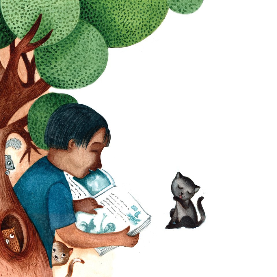 Digital Library of Stories for Kids | Stories | Storyweaver