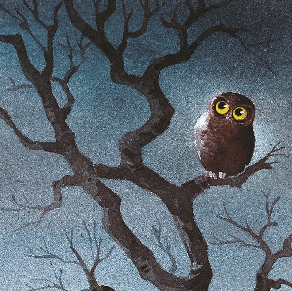 Digital Library of Stories for Kids | Stories | Storyweaver