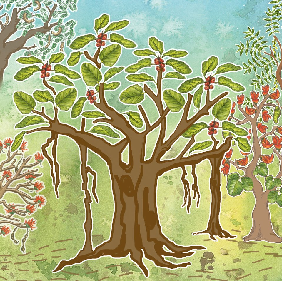 Digital Library of Stories for Kids | Stories | Storyweaver