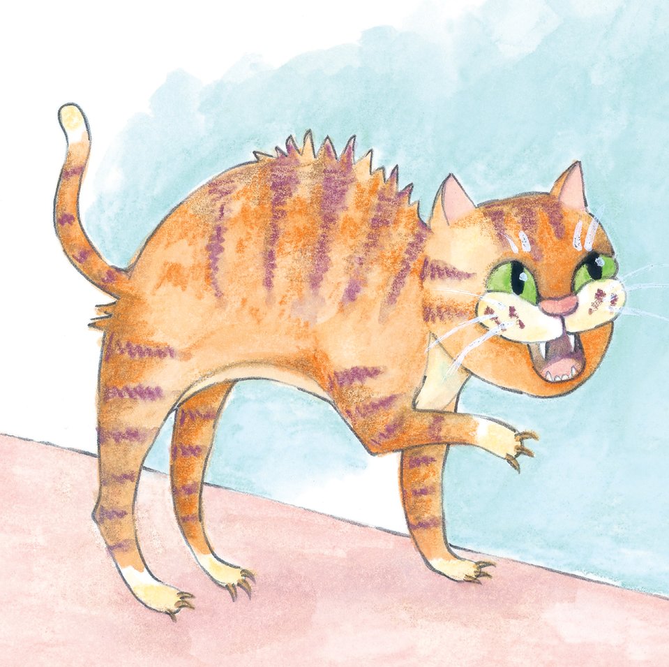 Digital Library of Stories for Kids | Stories | Storyweaver