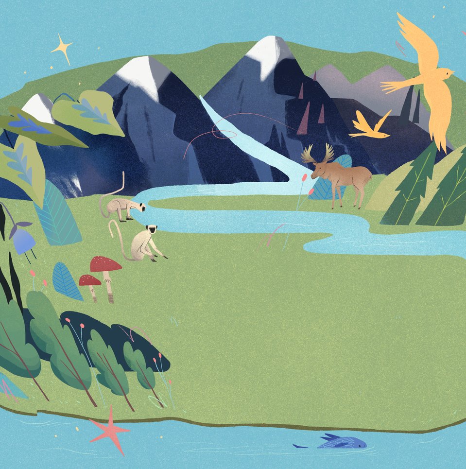 Digital Library of Stories for Kids | Stories | Storyweaver