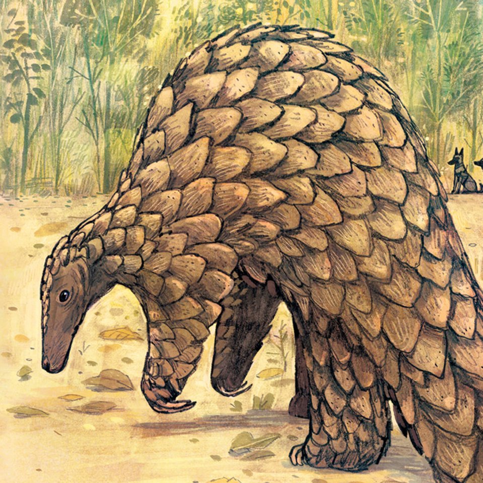 Digital Library of Stories for Kids | Stories | Storyweaver