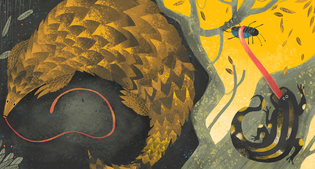 Digital Library of Stories for Kids | Stories | Storyweaver