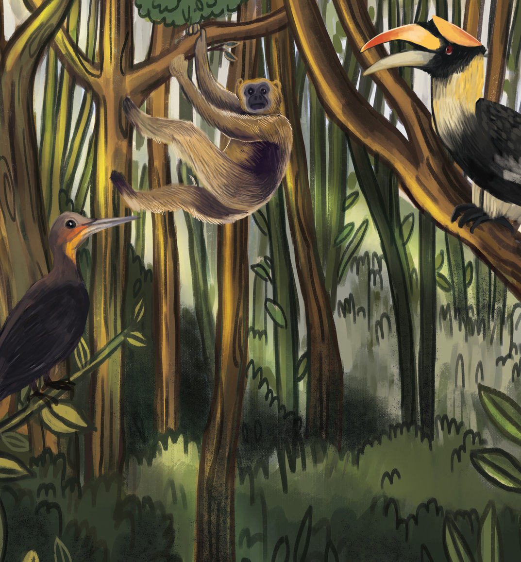 Digital Library of Stories for Kids | Stories | Storyweaver