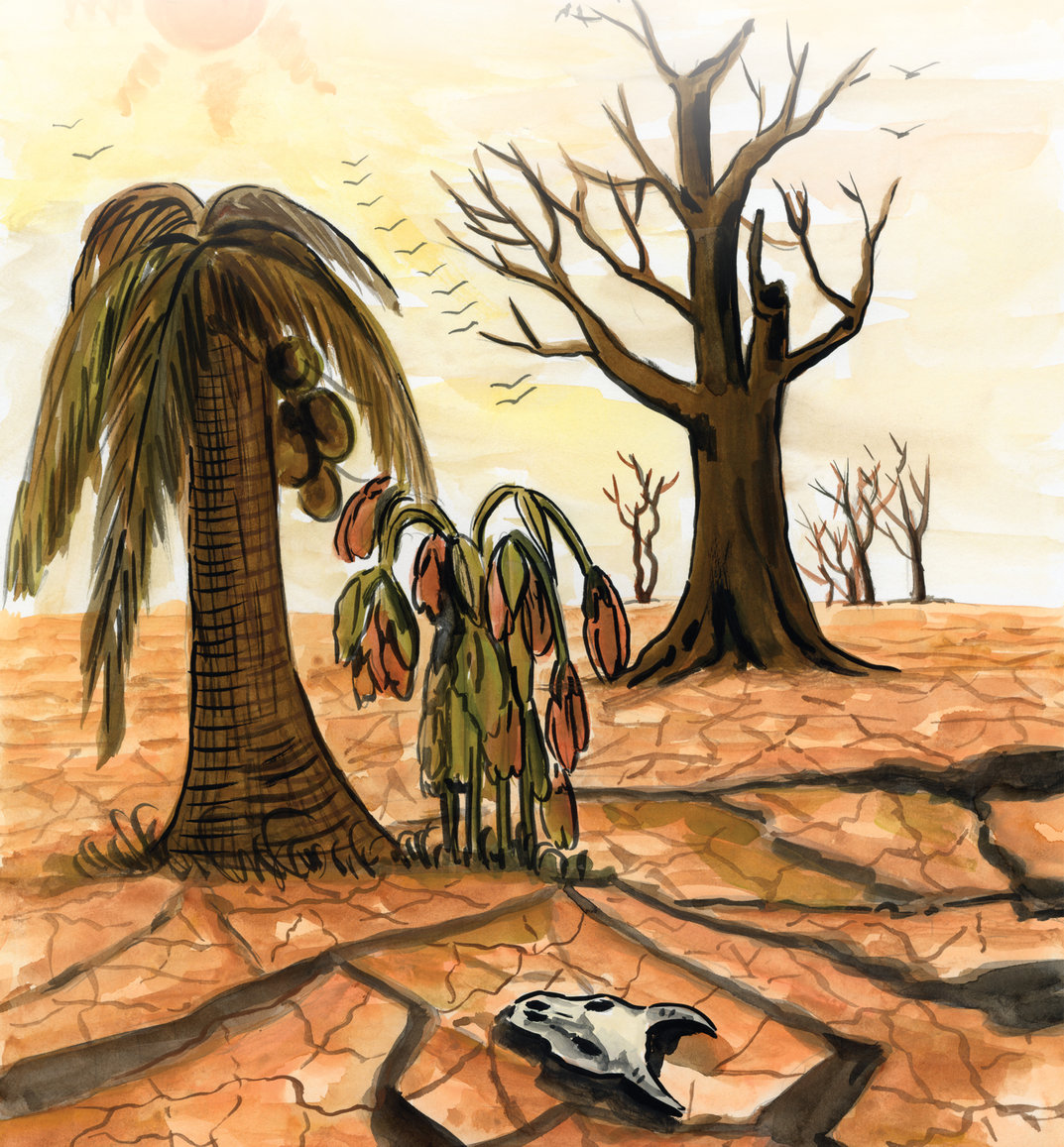 Digital Library of Stories for Kids | Stories | Storyweaver
