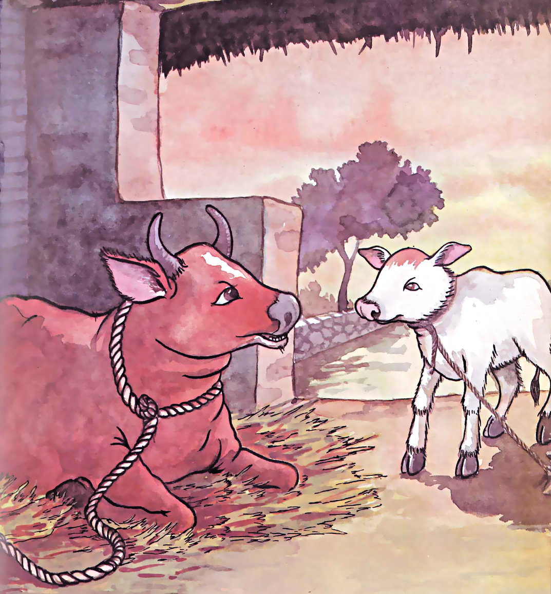 Digital Library of Stories for Kids | Stories | Storyweaver