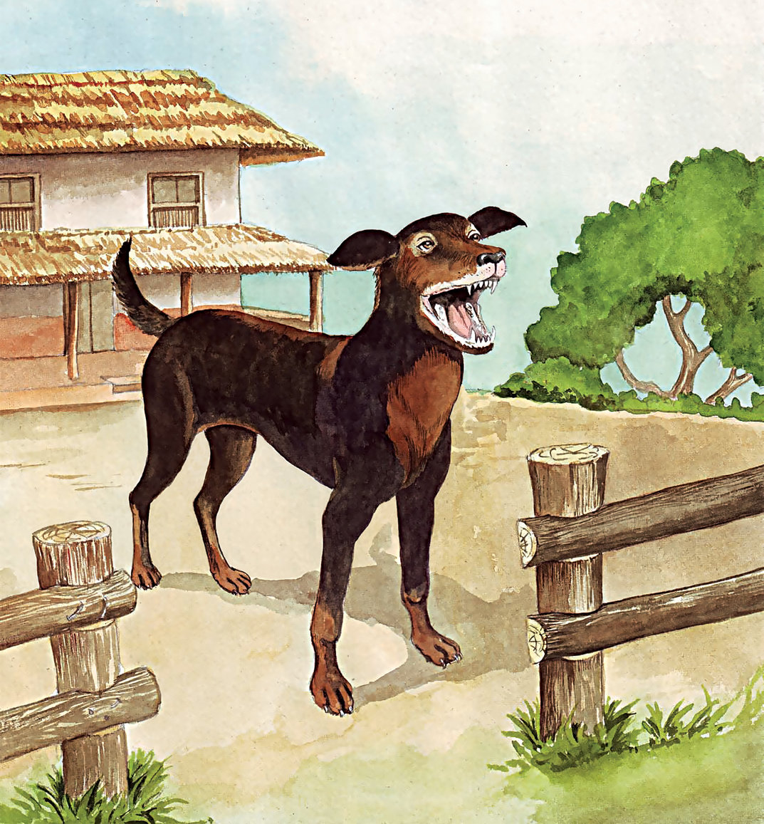 Digital Library of Stories for Kids | Stories | Storyweaver