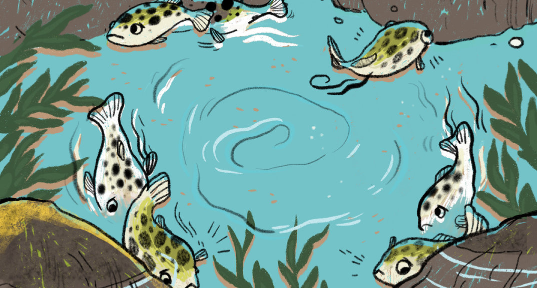 Digital Library of Stories for Kids | Stories | Storyweaver