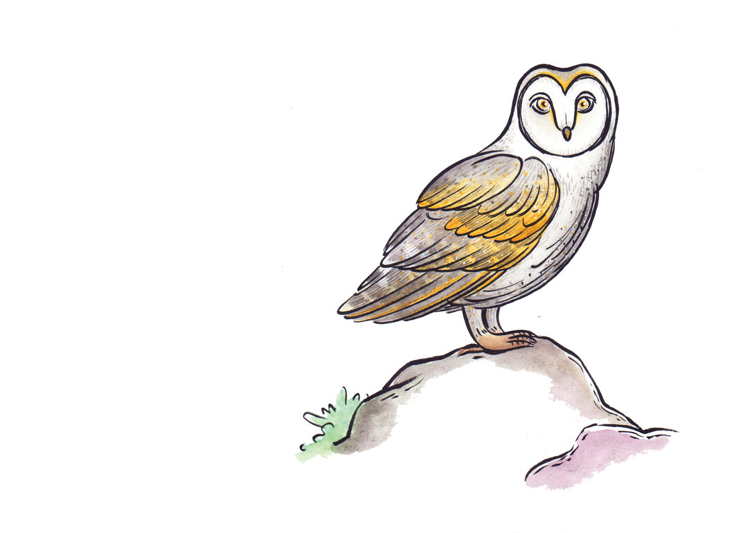 Digital Library of Stories for Kids | Stories | Storyweaver
