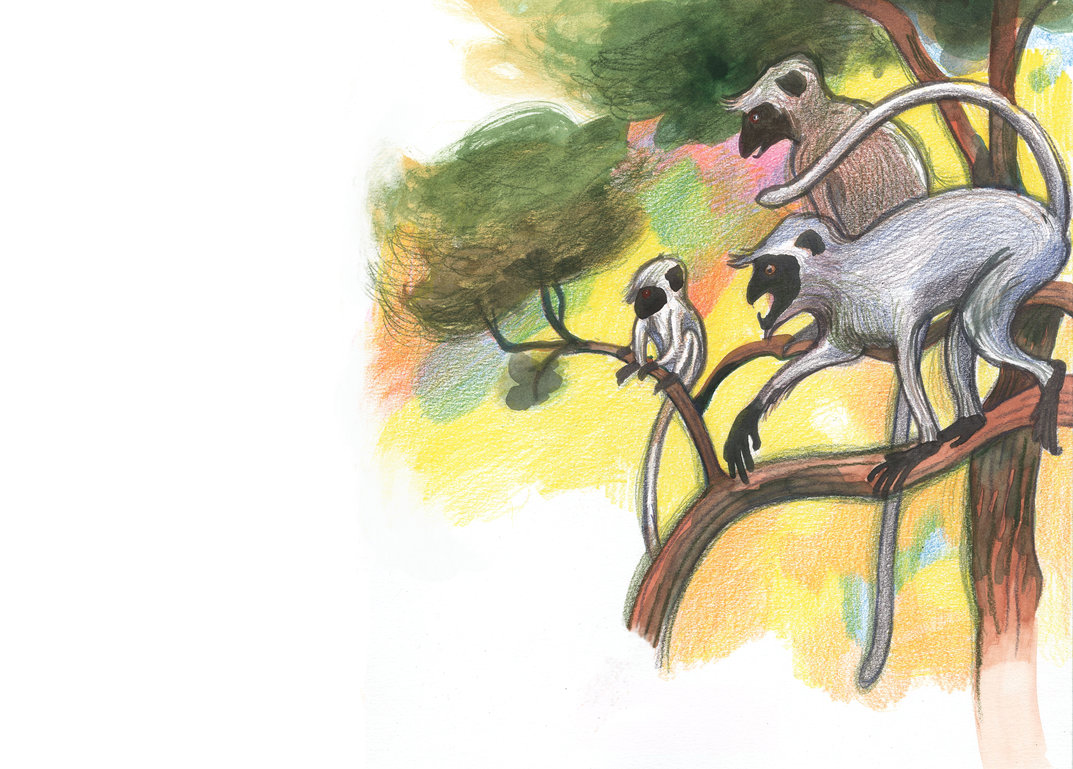 Digital Library of Stories for Kids | Stories | Storyweaver
