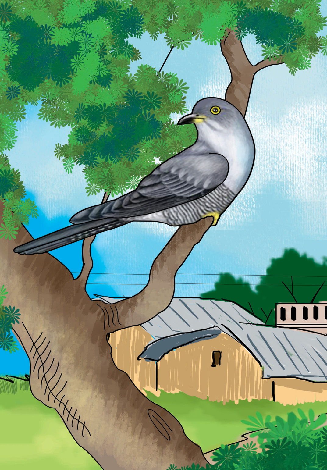 Digital Library of Stories for Kids | Stories | Storyweaver