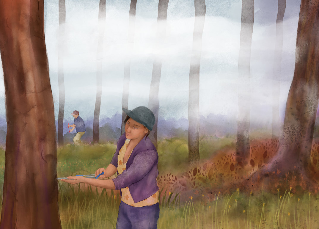 Digital Library of Stories for Kids | Stories | Storyweaver