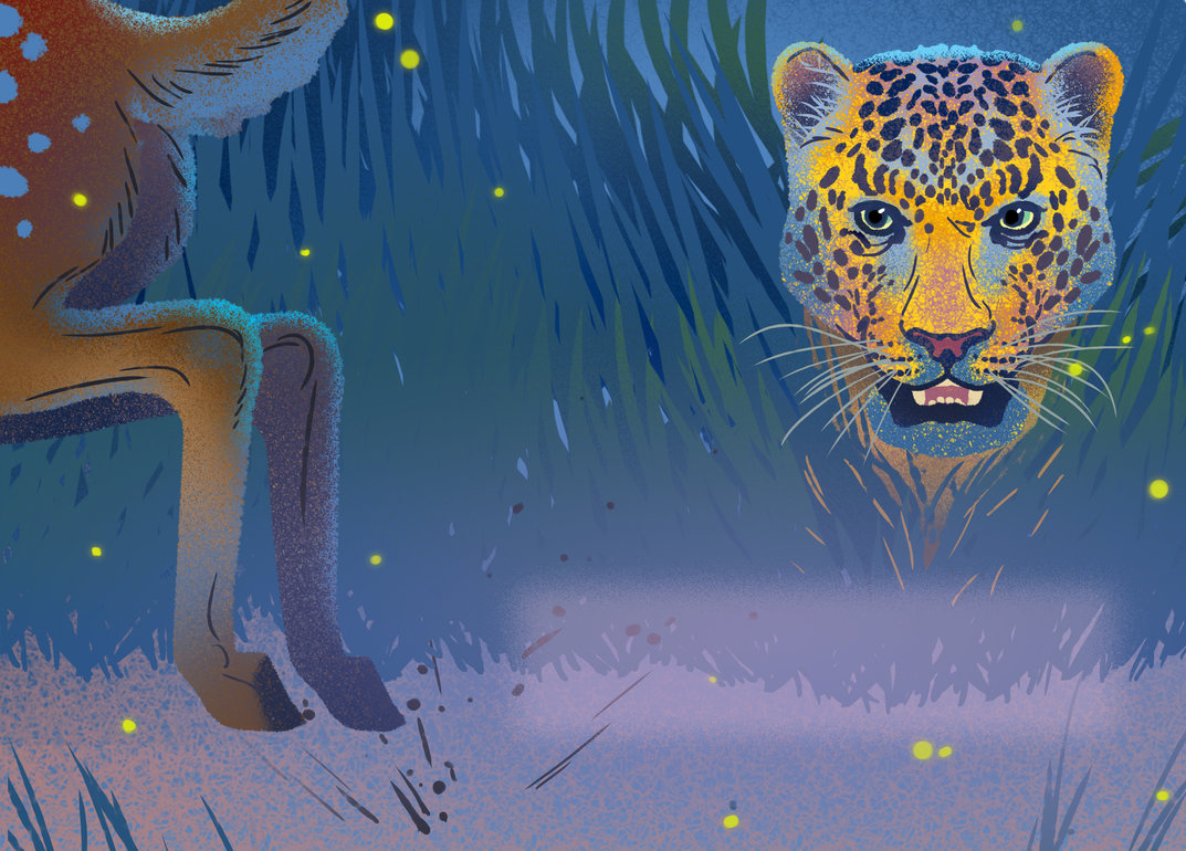 Digital Library of Stories for Kids | Stories | Storyweaver