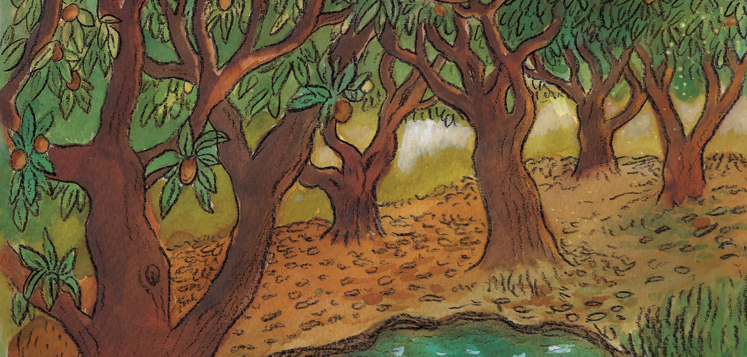 Digital Library of Stories for Kids | Stories | Storyweaver
